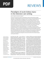 KDIGO AKI AKD Guideline Scope of Work 2023 Final | PDF | Diseases And ...