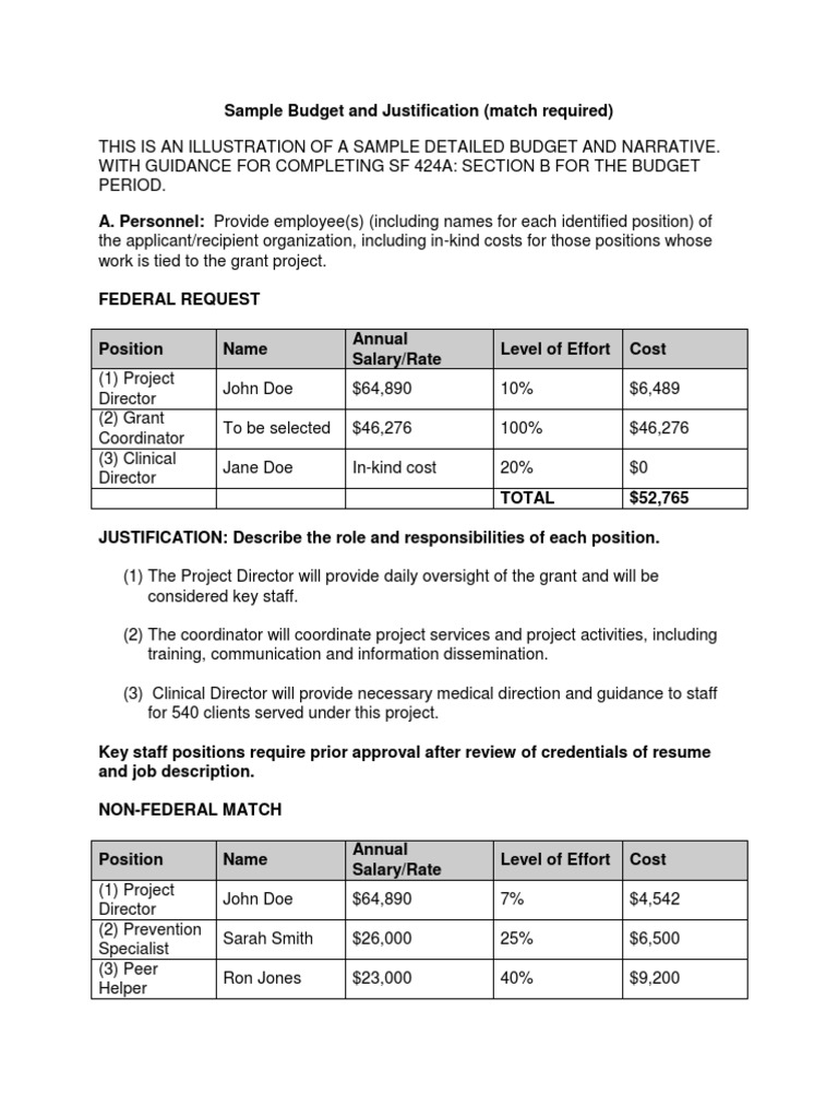 Sample Budget Match Required v2 | PDF | Per Diem | Federal Insurance ...
