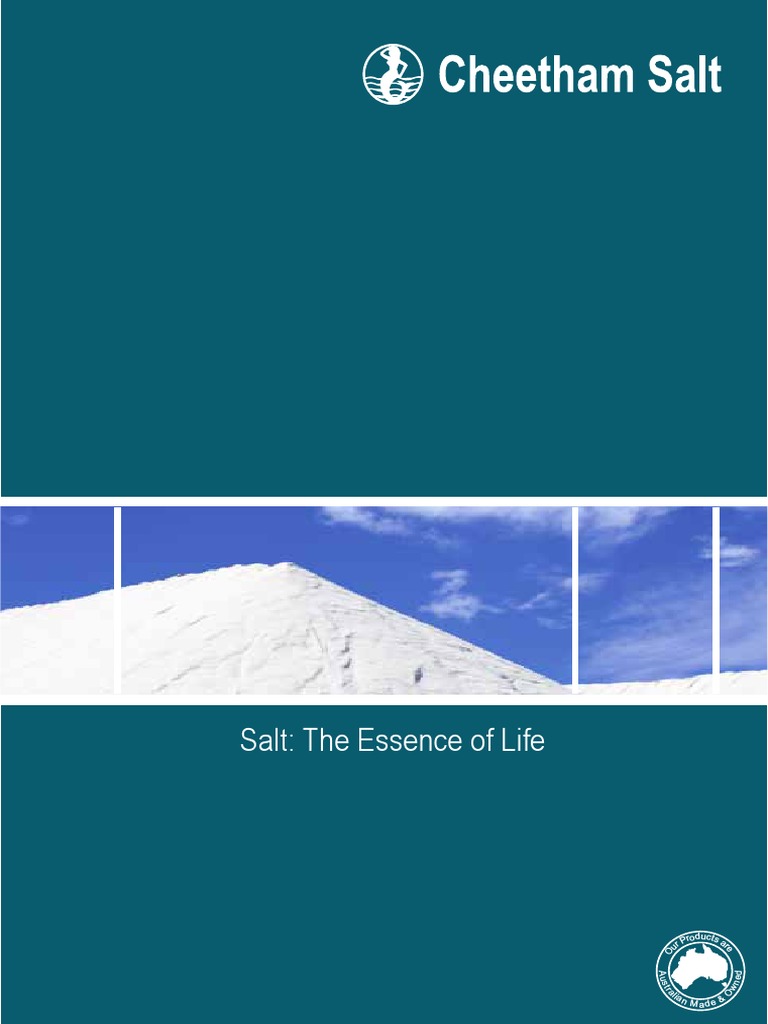 Cheetham Salt Brochure | PDF | Sodium Chloride | Crystallization