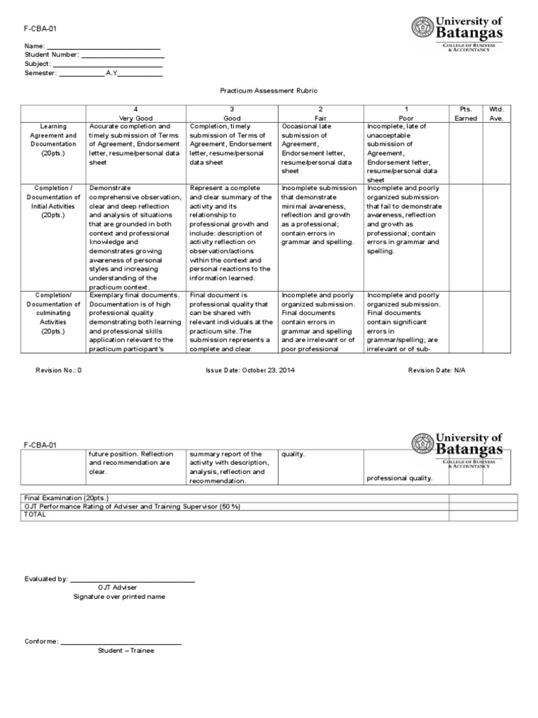 Practicum Assessment Rubric | PDF | Data | Learning
