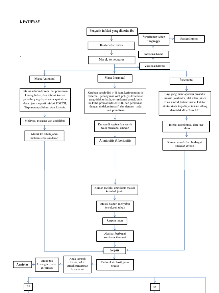 Patofisiologi Infeksi Pada Bayi Baru Lahir | PDF