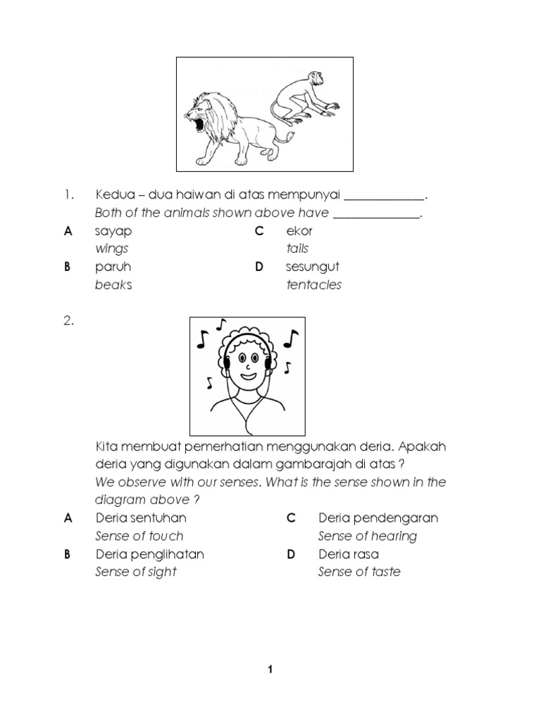 Science Year 1 Ujian 1 (Mac) - DLP | PDF