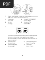 Year 2 Science DLP Quiz | PDF | Egg | Science