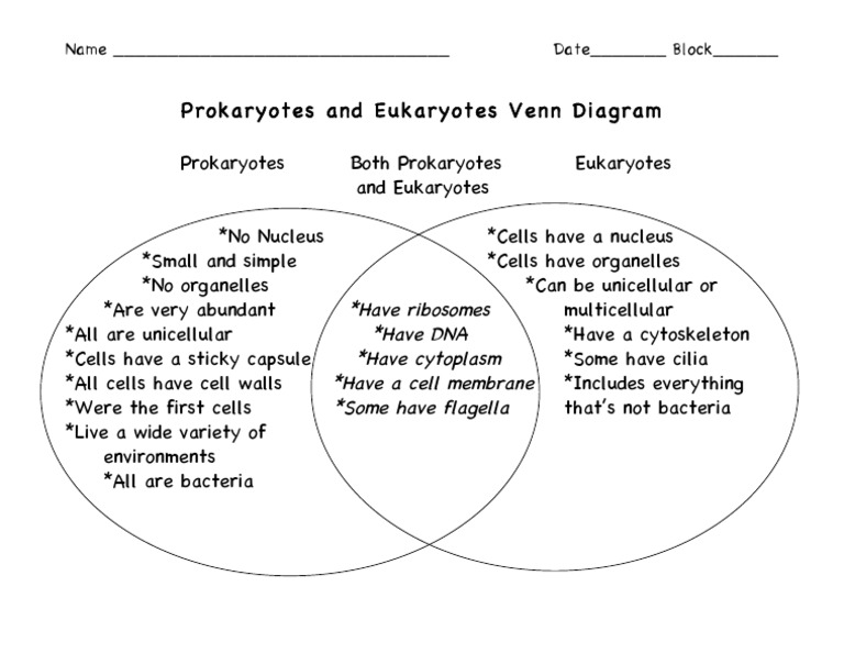 Prokaryotic And Eukaryotic Cells Venn Diagram