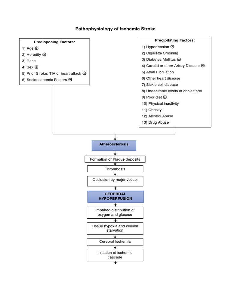 Pathophysiology of Ischemic Stroke Final | Ischemia | Stroke