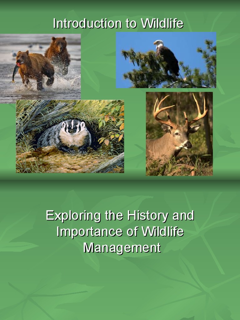 Wildlife Management | PDF | Conservation Movement | Conservation Biology