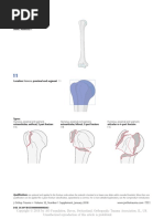AO OTA Fracture and Dislocation Classification Leaflet | PDF | Injury ...