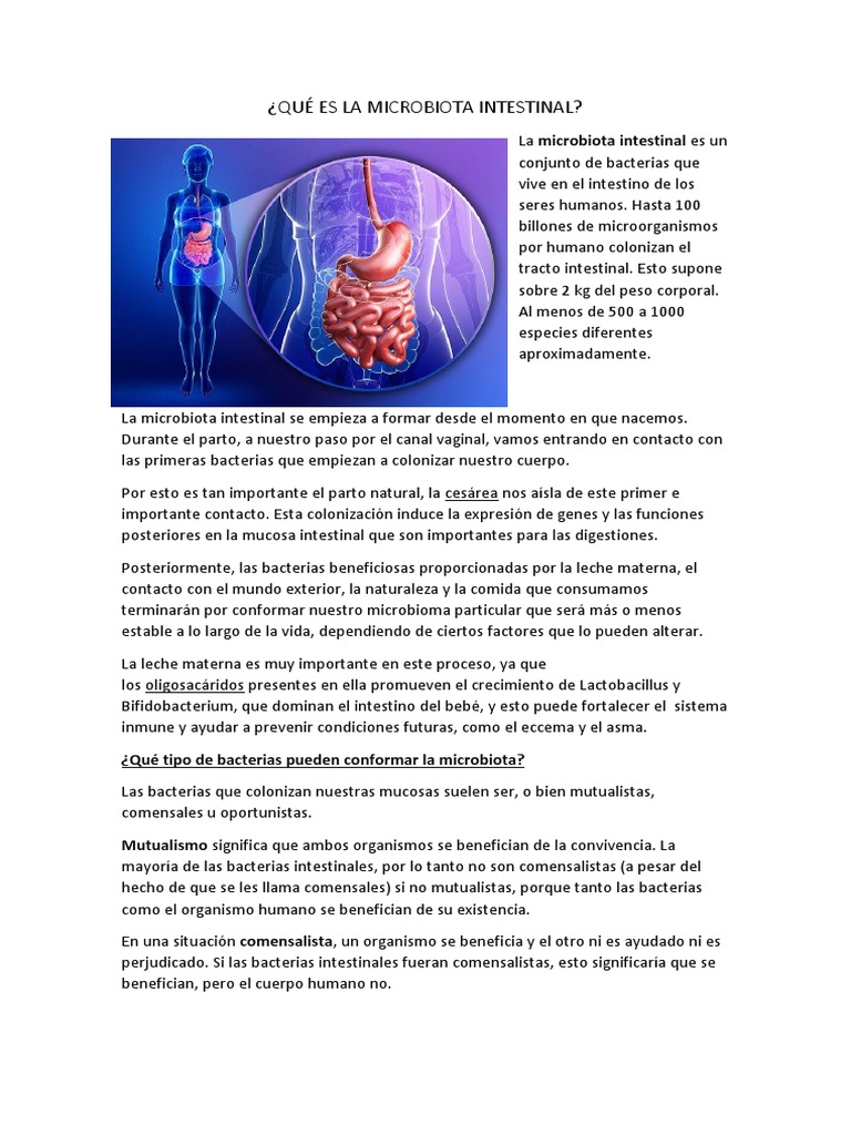 Microbiota Intestinal: Funciones y Factores | PDF | Tripa flora ...