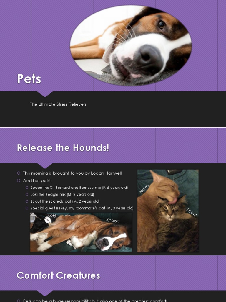 How Pets Relieve Stress and Boost Wellbeing | PDF