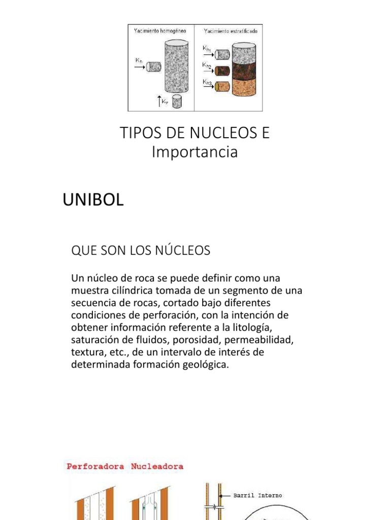 #6-Tipos de Nucleos | PDF | Roca (geología) | Naturaleza