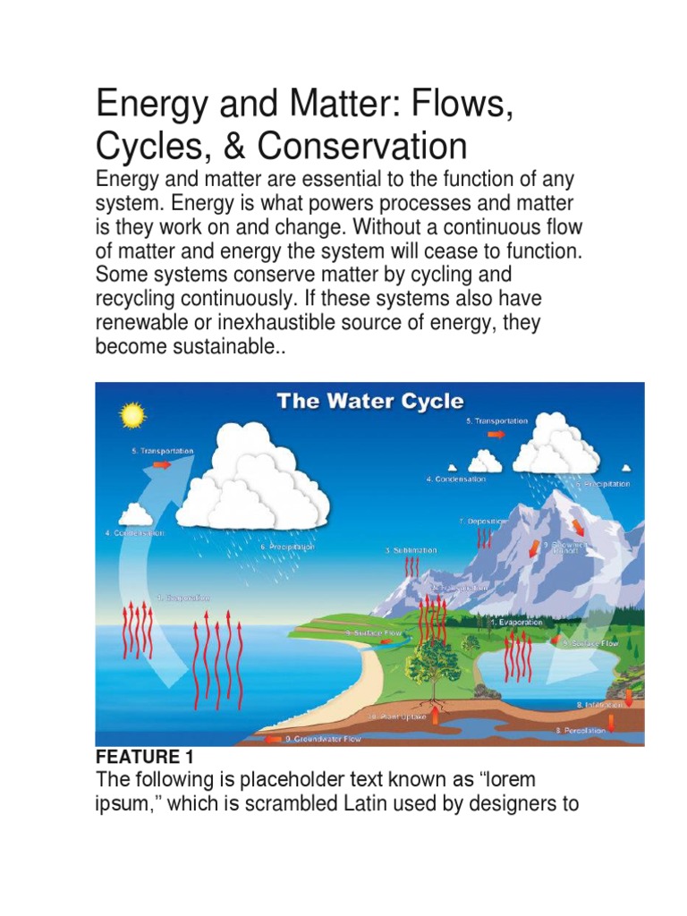 Energy and Matter: Flows, Cycles, & Conservation: Feature 1 | PDF ...