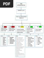 Panduan Kategori ATS dalam Triage | PDF