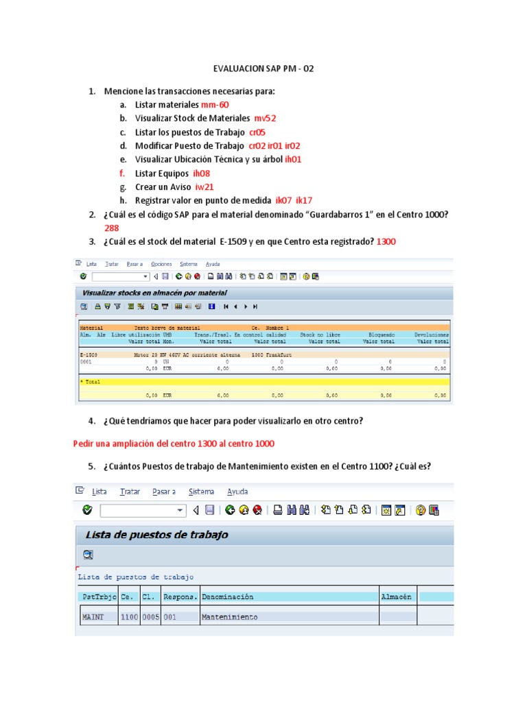 Evaluacion Sap PM - 02 Desarrollo | PDF | Business