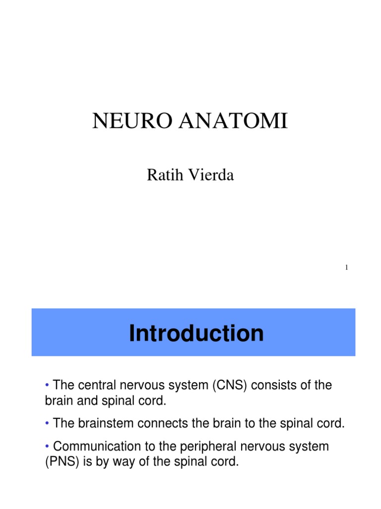 Neuro Anatomi: Ratih Vierda | PDF | Cerebrum | Brainstem