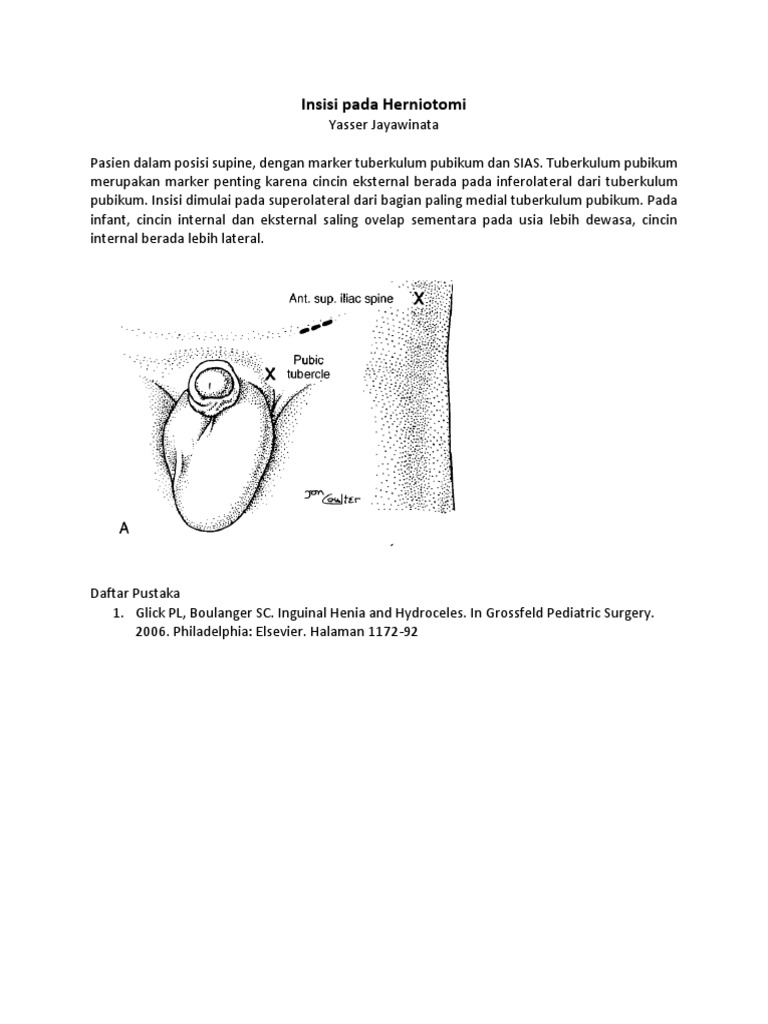 Insisi Pada Herniotomi | PDF | Pengembangan Diri | Sains & Matematika