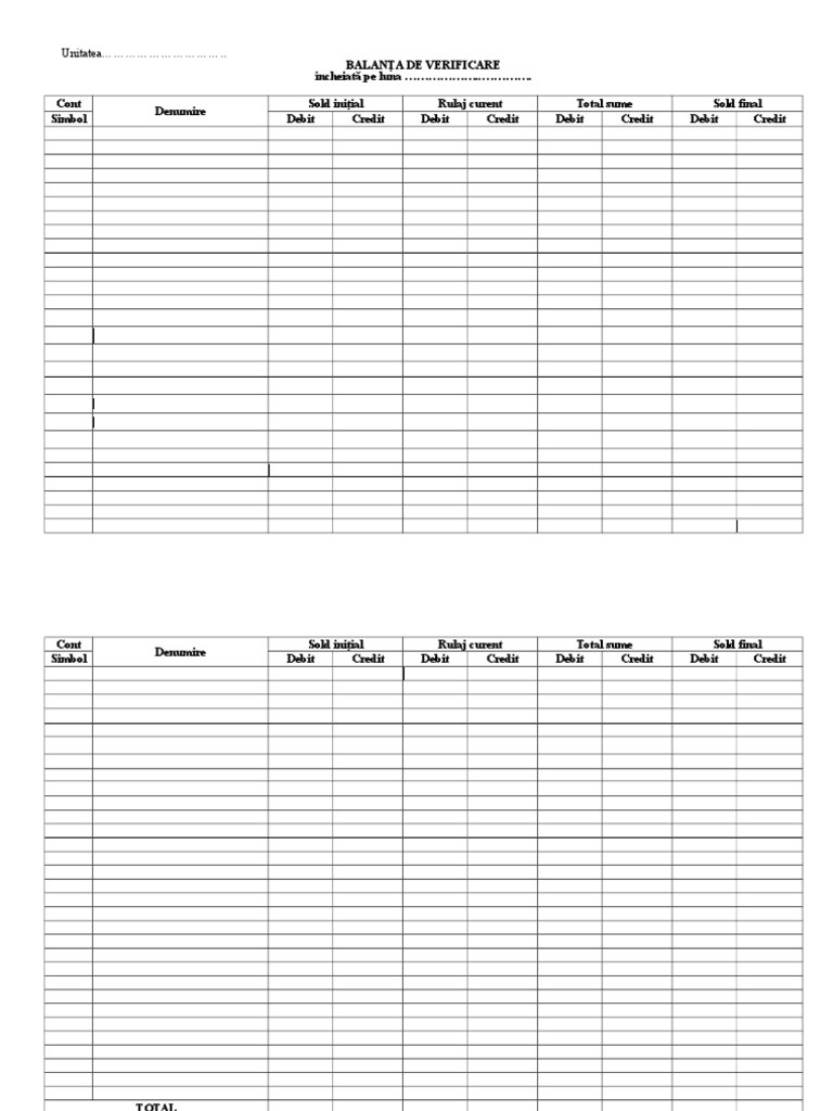 Balanta de Verificare | PDF