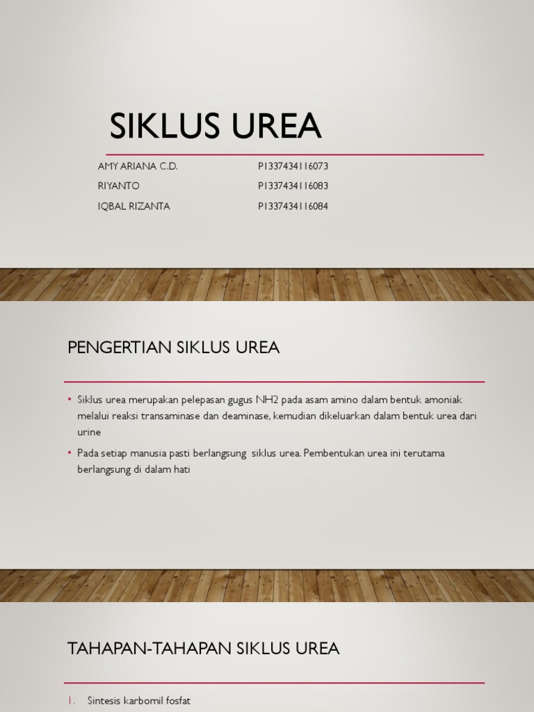 Siklus Urea | PDF
