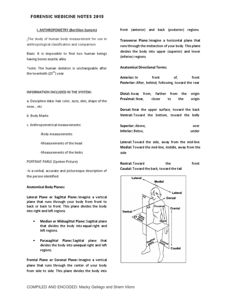 Forensic COMPLETE Notes PDF | PDF | Anatomical Terms Of Location | Dna ...