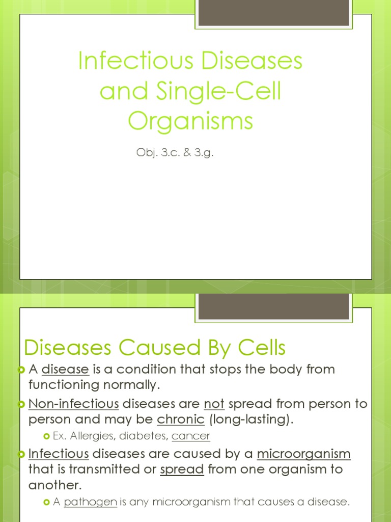 Bacteria and Viruses PowerPoint | PDF | Virus | Bacteria