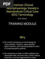 ACNS Standardized Critical Care EEG Examples 2021 | PDF ...