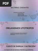 QUIMIOTROFOS | PDF | Sustancias químicas | Biología