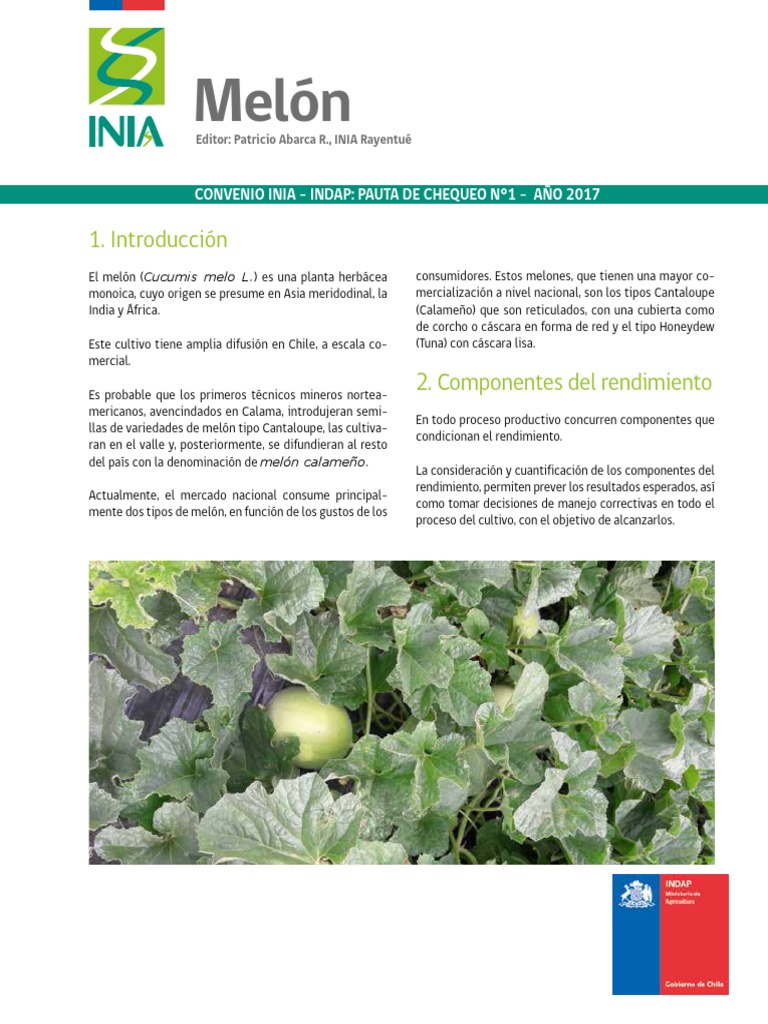 01 Manual Melon | PDF | Suelo | Horticultura y jardinería
