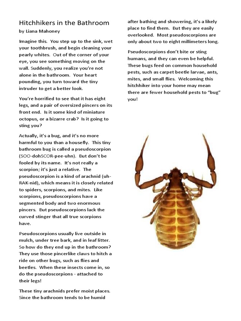 Hitchhiking Bugs in the Bathroom | PDF | Insects And Humans | Insects