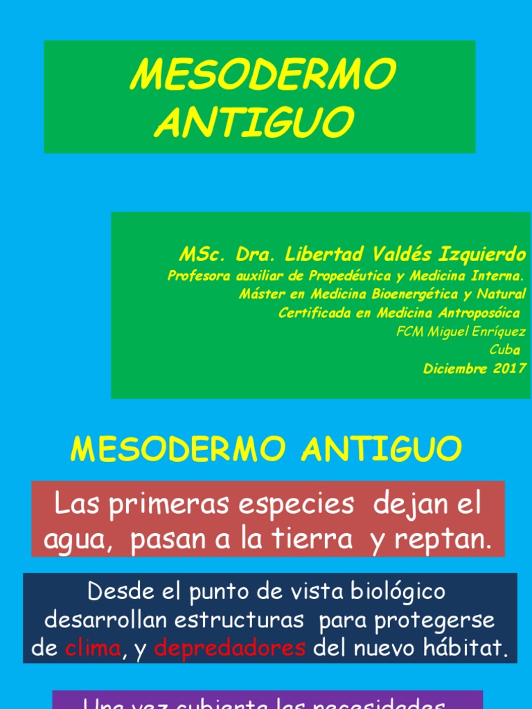 Mesodermo Antiguo Dic. 2017 | PDF | Anatomía | Órgano (anatomía)