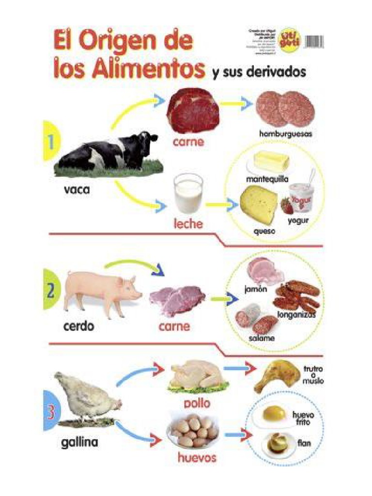 Alimentos de Origen Animal y Vegetal | PDF