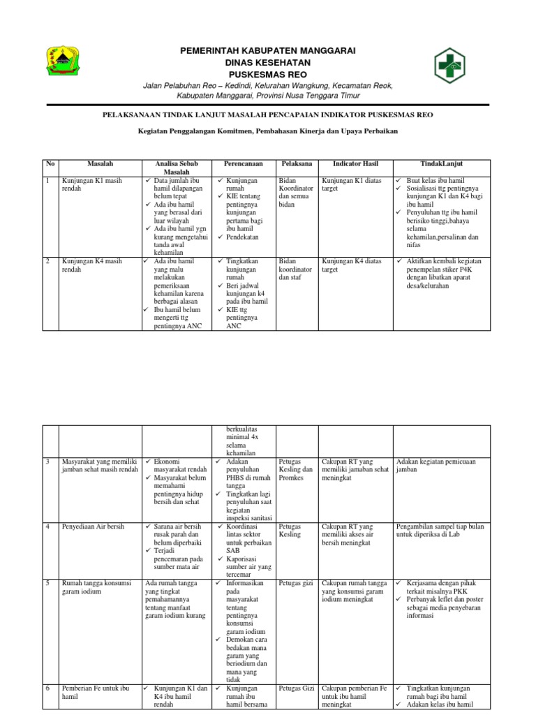 Pelaksanaan Tindak Lanjut Pdca | PDF