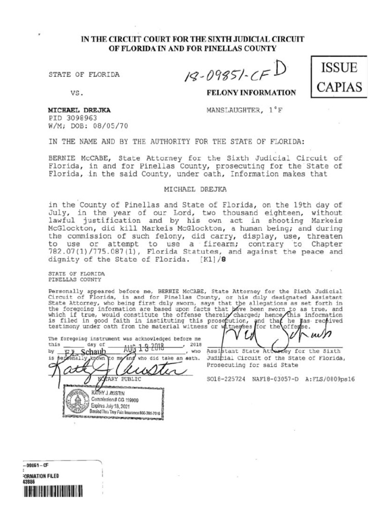 Drejka Charging Affidavit 180813 | PDF