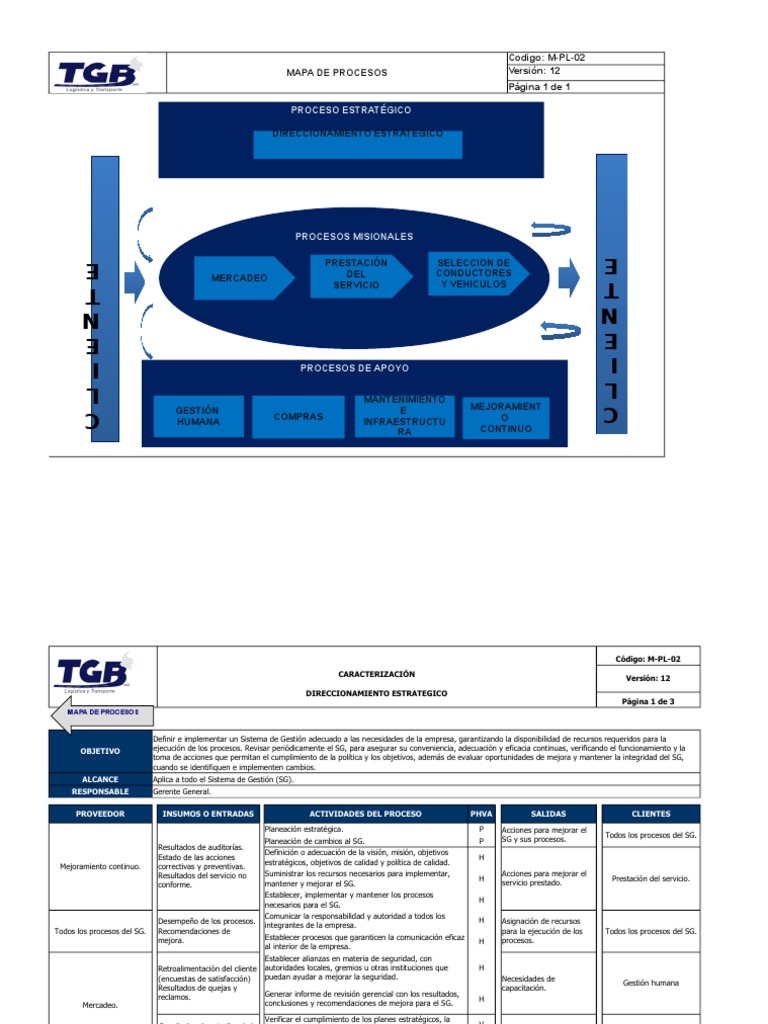 Mapa de Procesos y Caracterizacion | PDF | Marketing | Calidad (comercial)