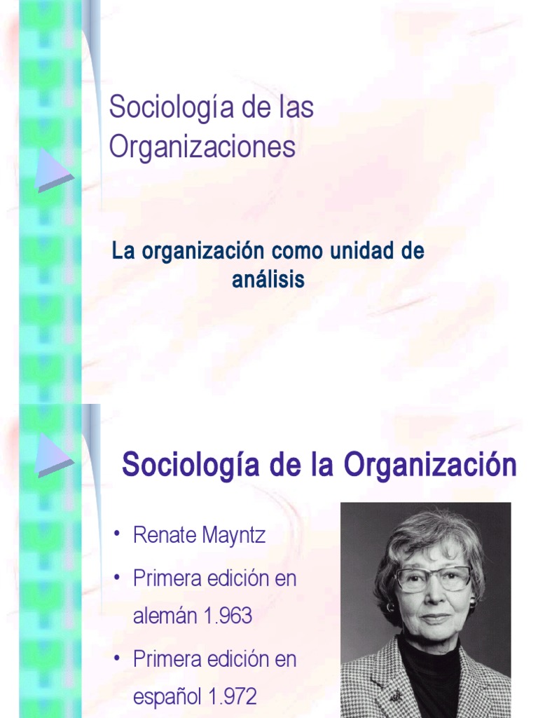 Renate Mayntz Sociología de Las Organizaciones | PDF