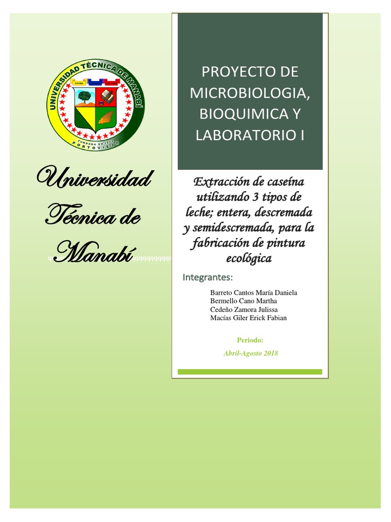 Micro Proyecto | PDF | Leche | Pinturas