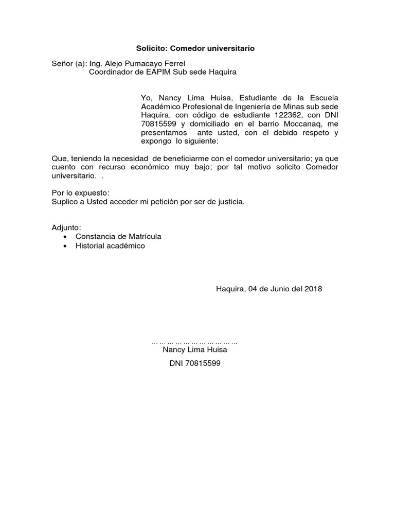 Solicitud Comedor Nancy | PDF