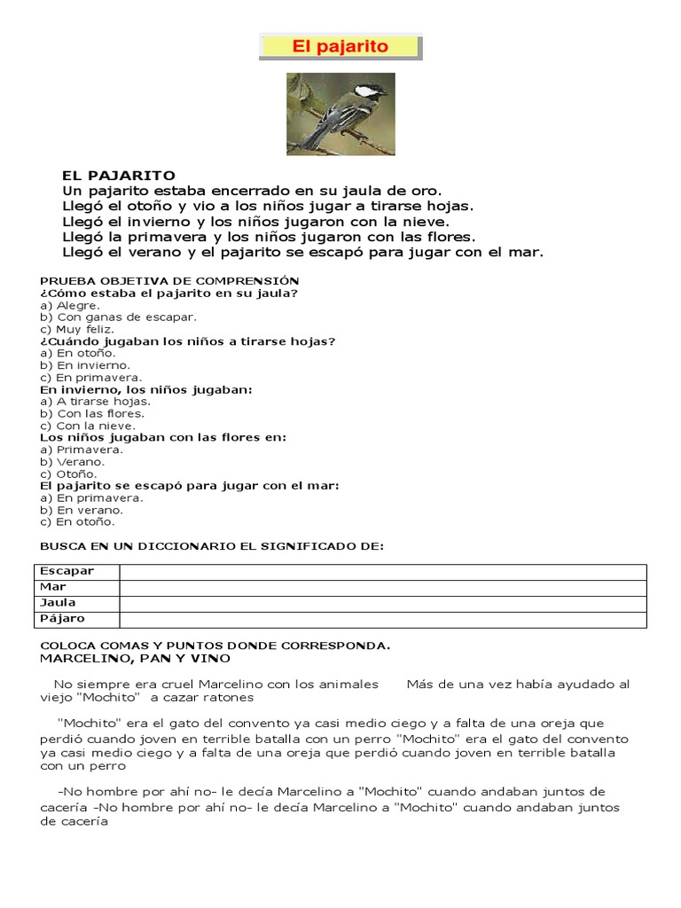 Comprension de Lectura Cuentos Cortos Preguntas Objetivas | PDF