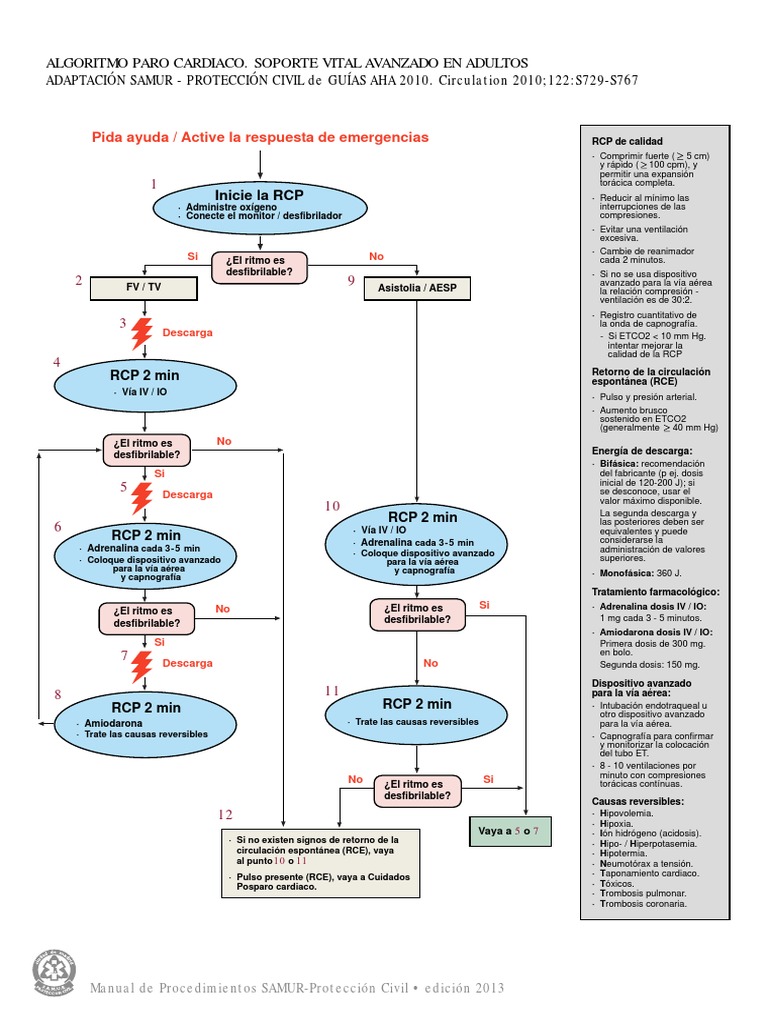 2015 AHA Guidelines Highlights Spanish | PDF | Reanimación ...