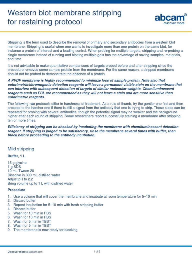 Western Blot Membrane Stripping For Restaining Protocol | PDF | Western ...