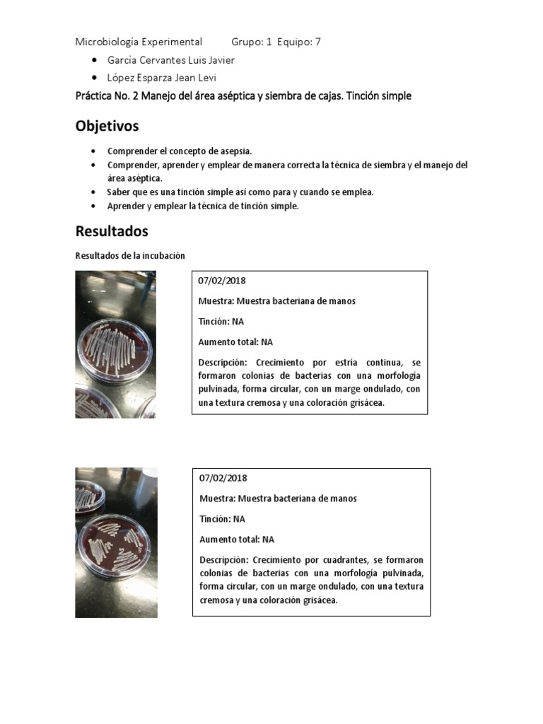 Practica 2 de Micro Exp. | PDF | Tinción | Patologia clinica