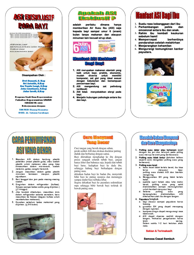 Leaflet Asi Eksklusif | PDF