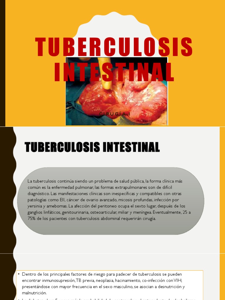 Tuberculosis Intestinal | PDF | Tuberculosis | Intestino delgado