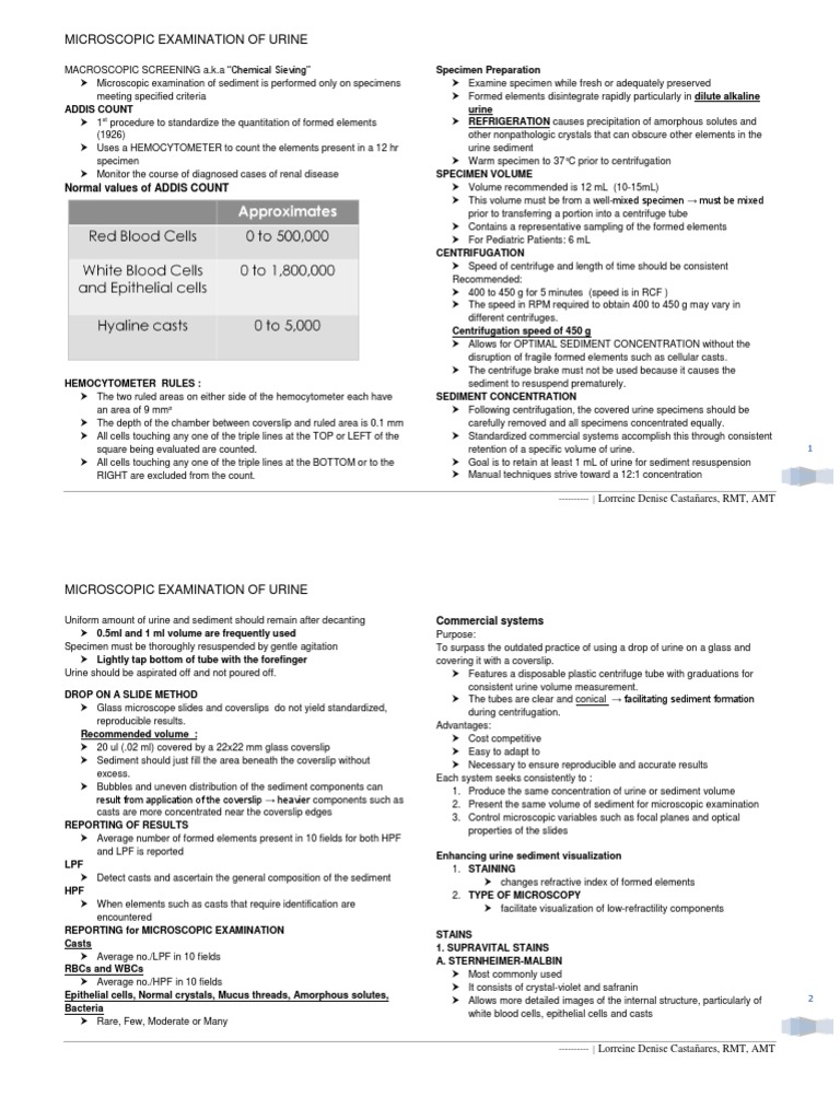 Addis Si Sediment Urina PDF | PDF | Anatomy | Medical Specialties