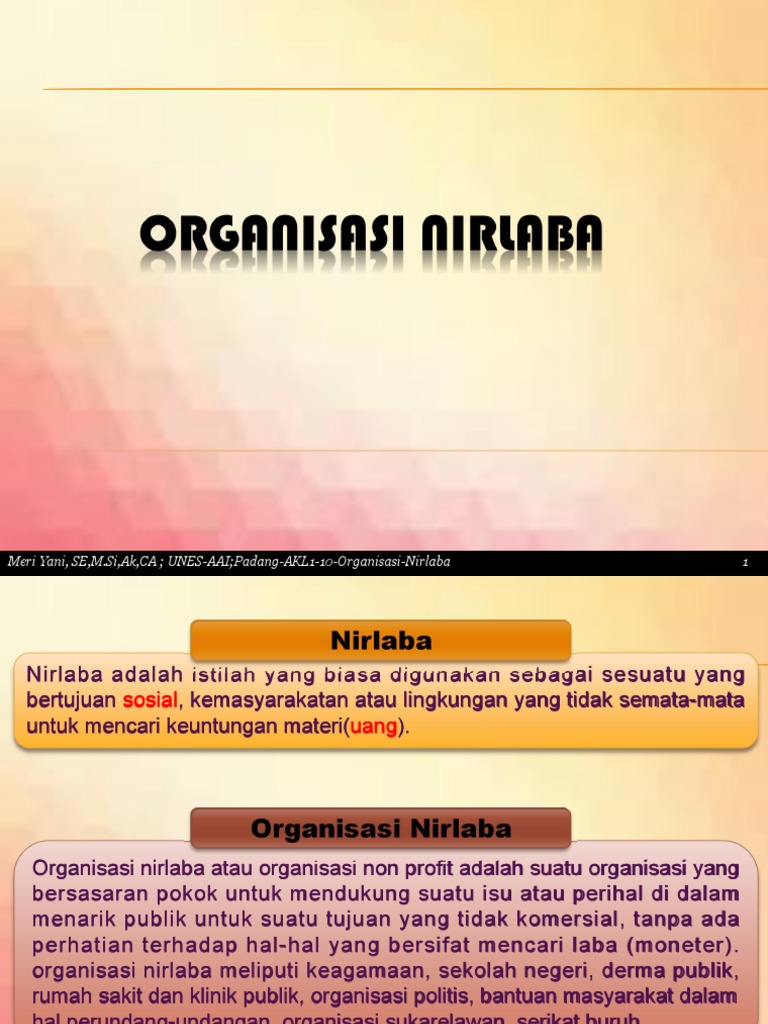 Panduan Organisasi Nirlaba di Indonesia | PDF | Bisnis | Pengelolaan ...