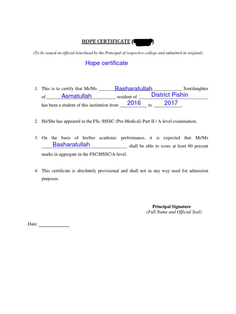 Hope Certificate For Undergraduate | PDF