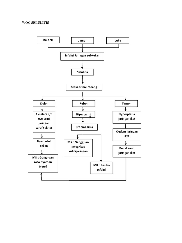 Woc Selulitis | PDF
