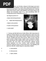 Panduan Klasifikasi BI-RADS Mammae | PDF | Sains & Matematika