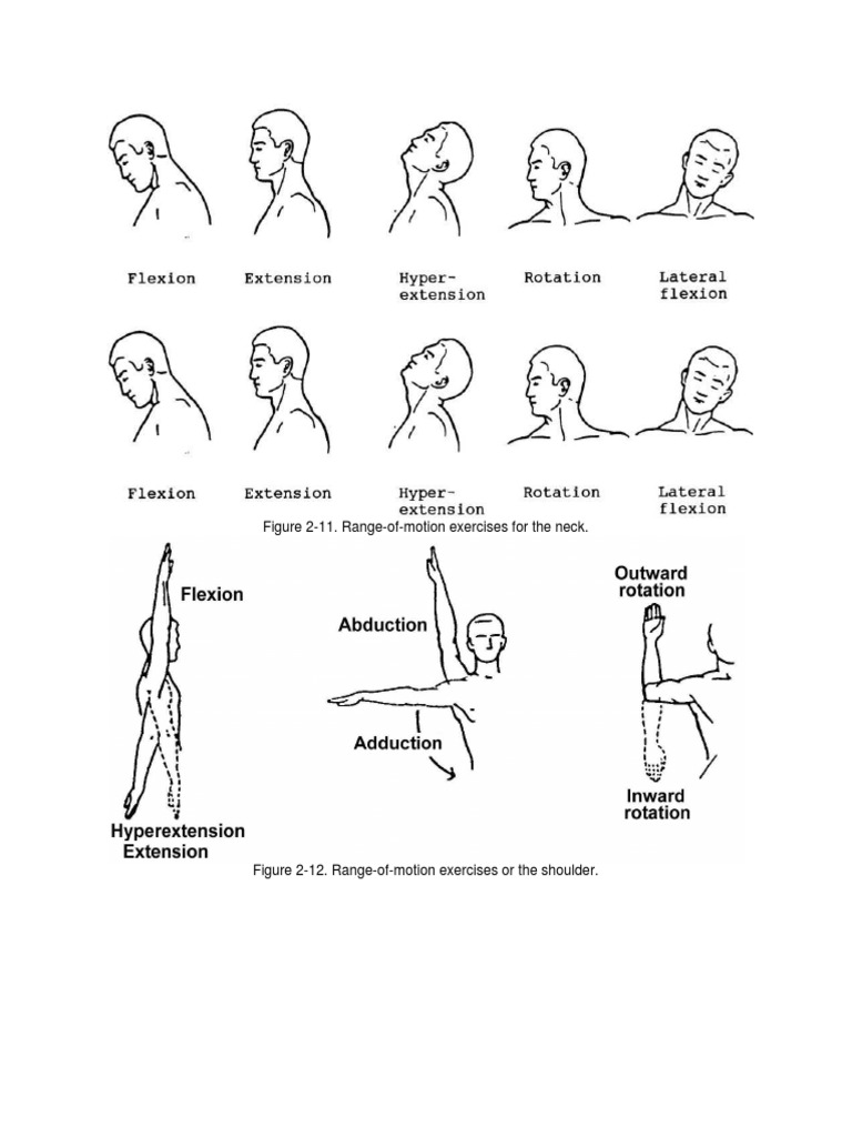 Figure 2-11. Range-Of-Motion Exercises For The Neck | PDF | Limbs ...