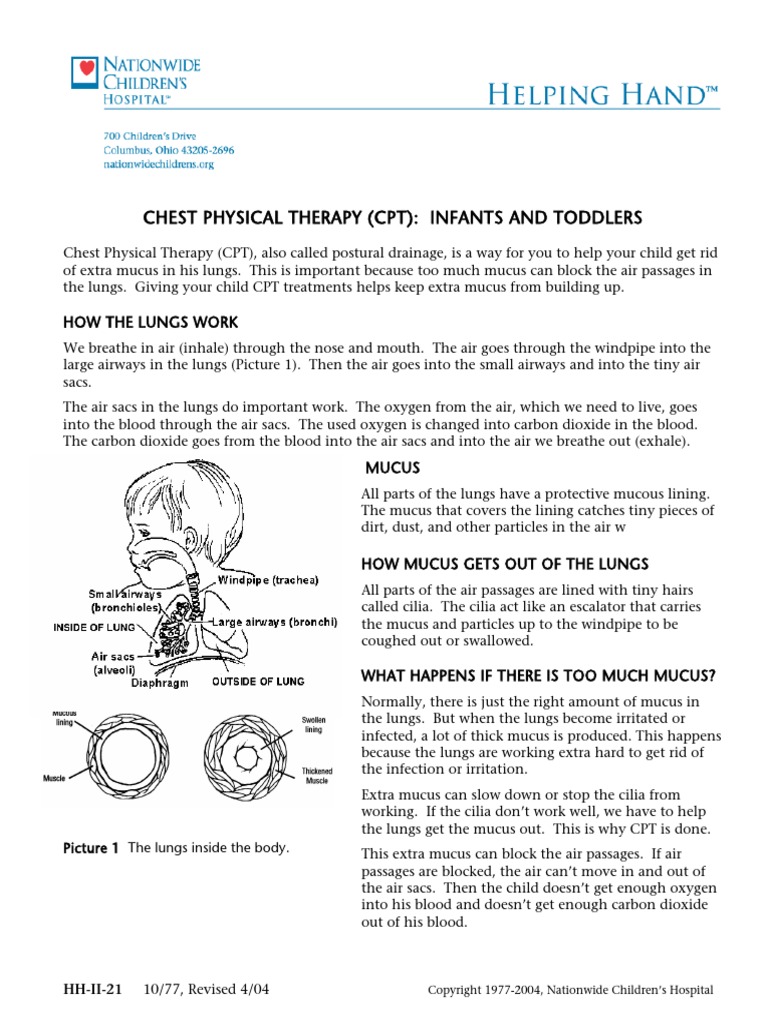 Chest Physical Therapy Infants Toddlers | PDF | Respiratory Tract | Mucus