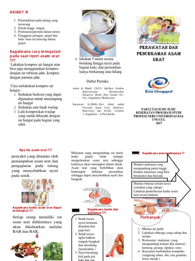 Leaflet Gout | PDF