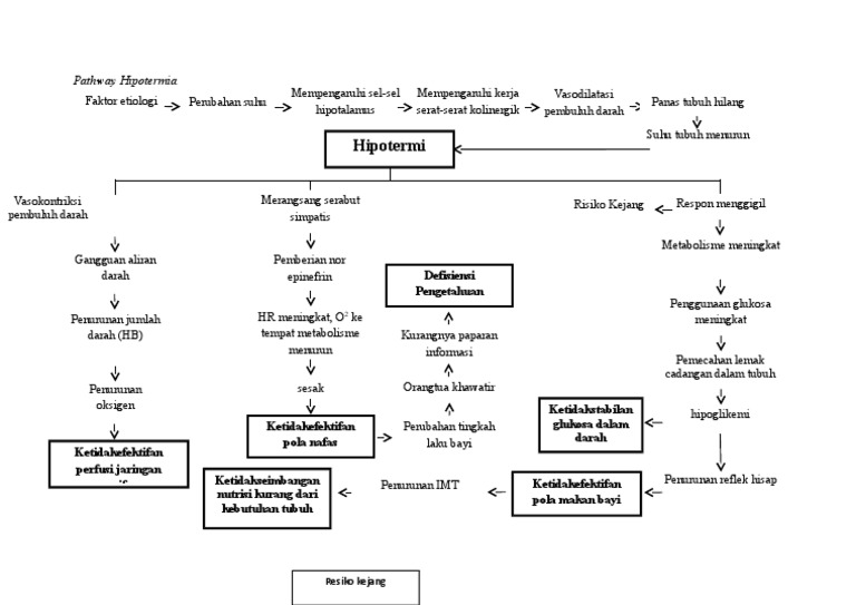 Pathway Hipotermia FIX | PDF